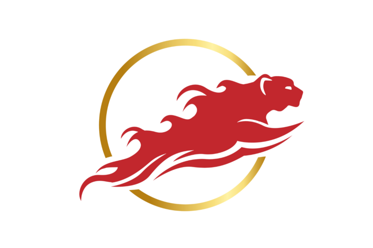 YomYom Delivery – Remote Delivery made Affordable and Sustainable